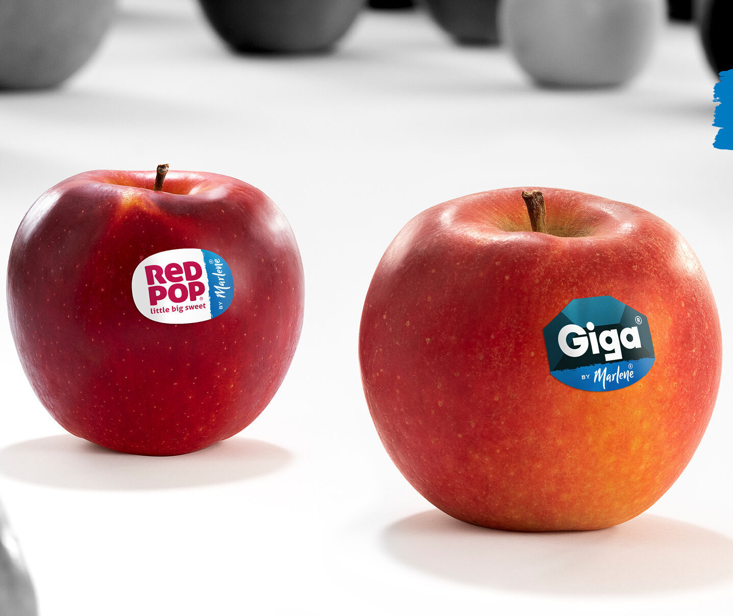 La primavera acoge el lanzamiento de RedPop® y Giga® - Eurobanan